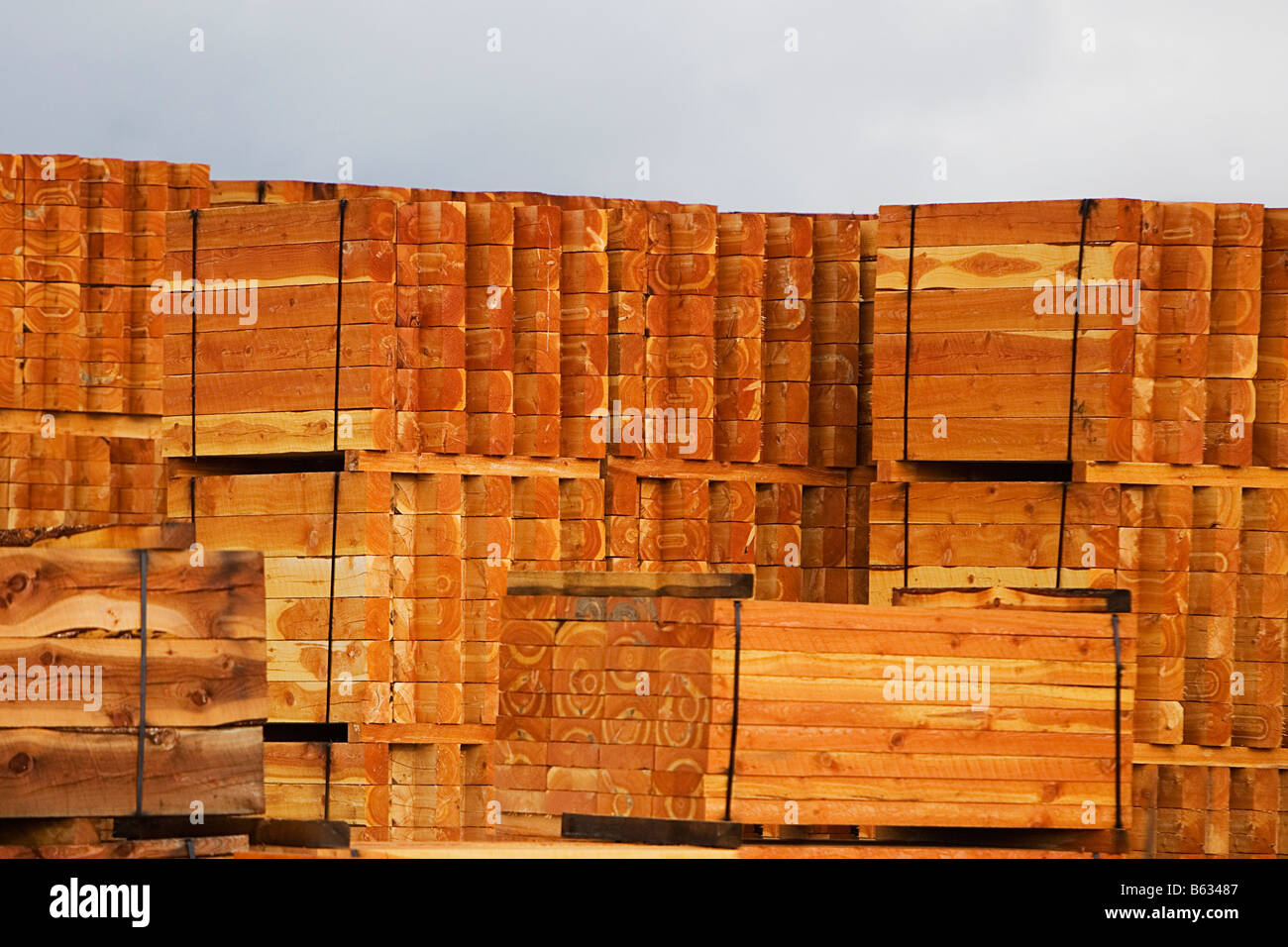 Stacks of timbers in a lumberyard Stock Photo - Alamy