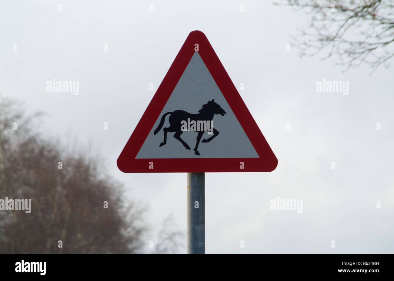 Trotting Horse Road Sign against pale background Stock Photo - Alamy