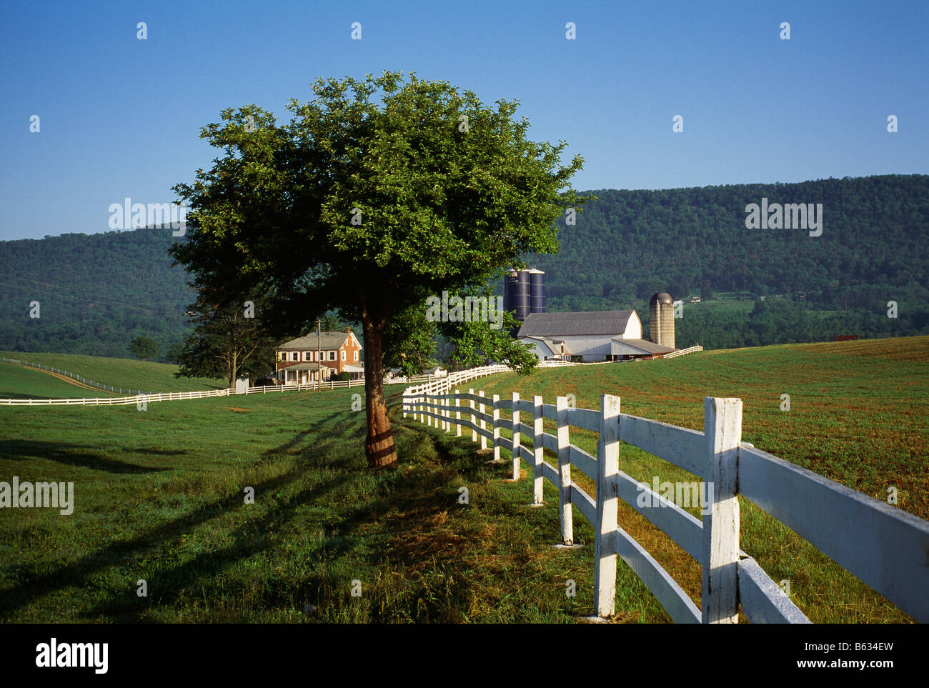 Pasture fence tree barn farmhouse Lonely Spot Farm near Bellefonte ...