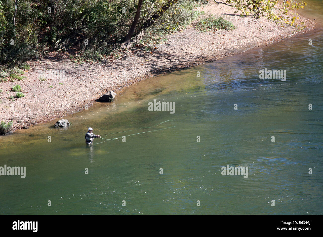 A Fly Fisherman on the bank of Lake Taneycomo that flows downstream ...