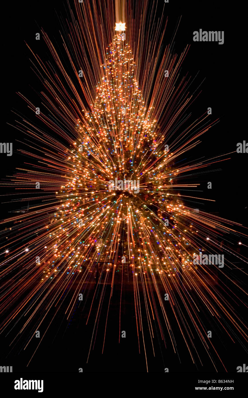 Night lit tree hi-res stock photography and images - Alamy