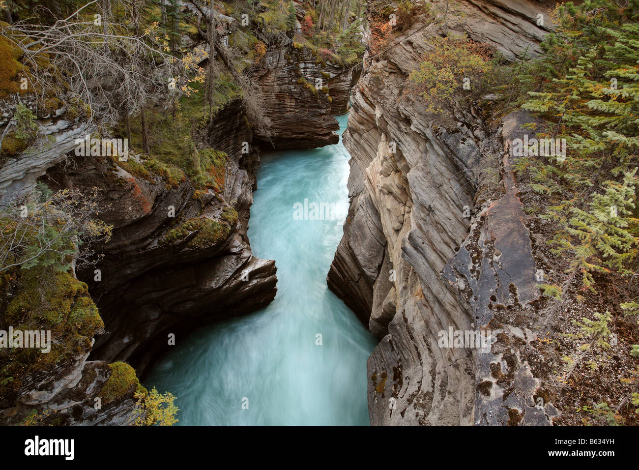 Gorge at Athabasca Falls in Jasper National Park Stock Photo - Alamy