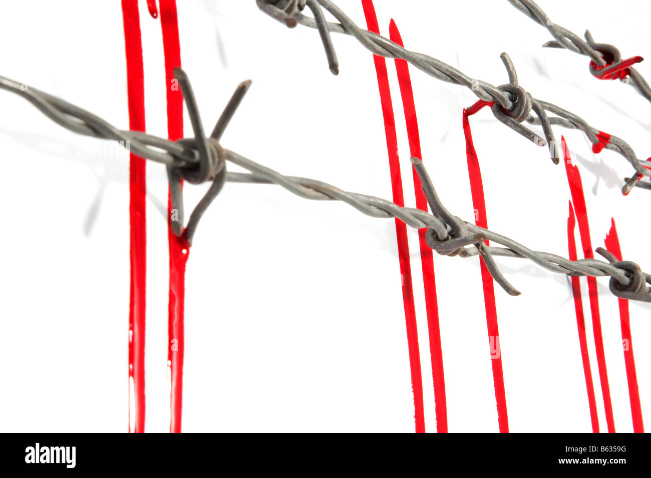 The sharp barbed wire sometimes happens by reliable protection Stock ...