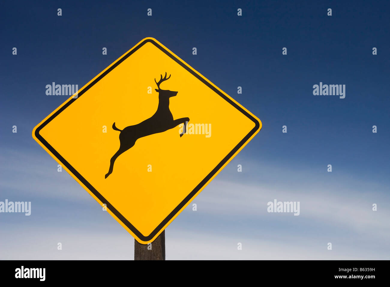 Deer crossing sign hi-res stock photography and images - Alamy