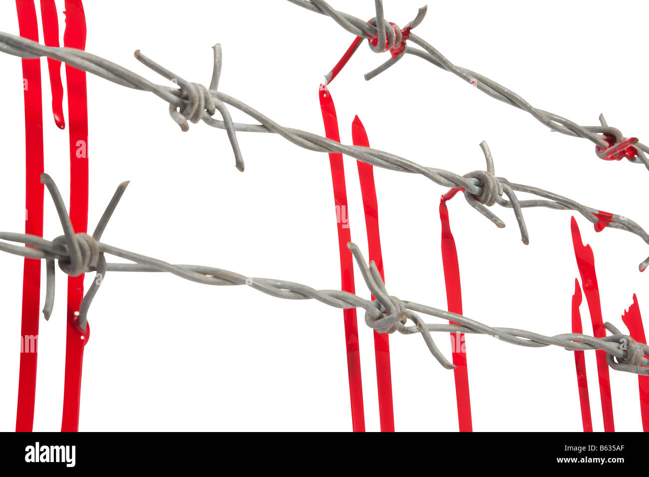 The sharp barbed wire sometimes happens by reliable protection Stock ...