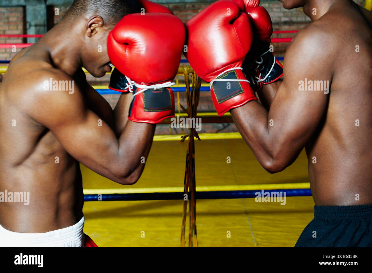 Two young men boxing in a boxing ring Stock Photo - Alamy