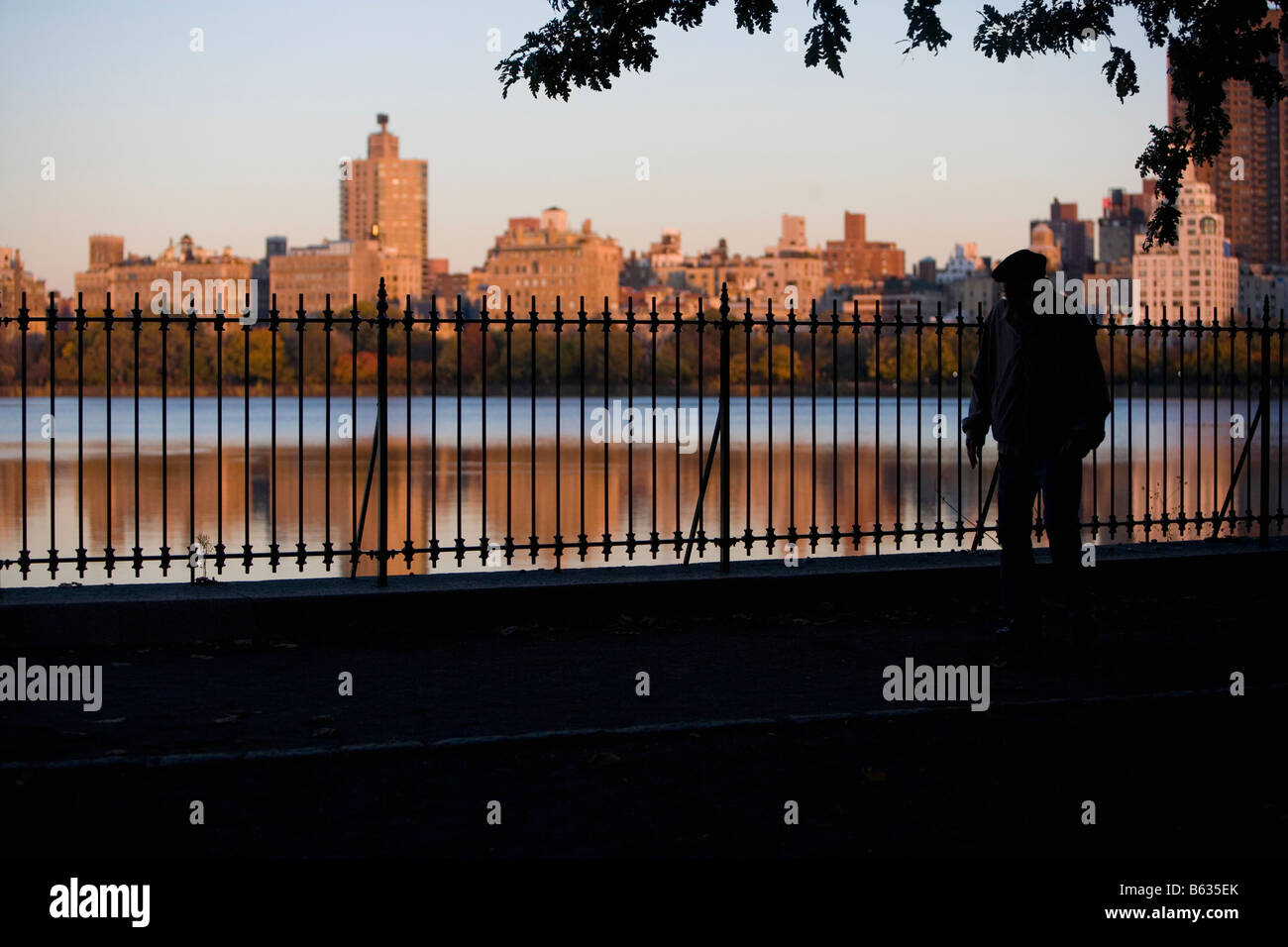 Man walking, Central Park, Manhattan, New York City, New York State ...
