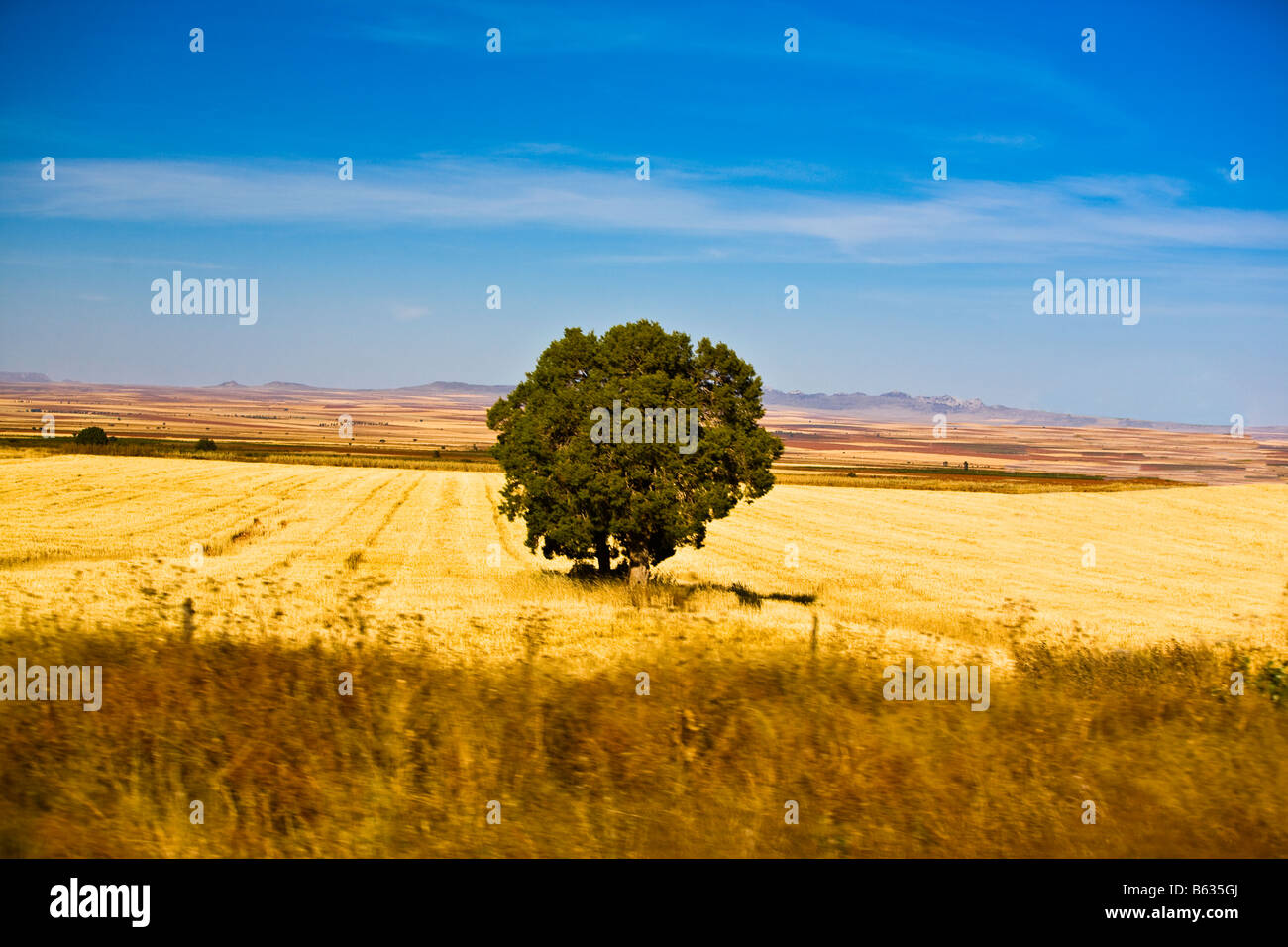Zacatecas mexico landscape hi-res stock photography and images - Alamy