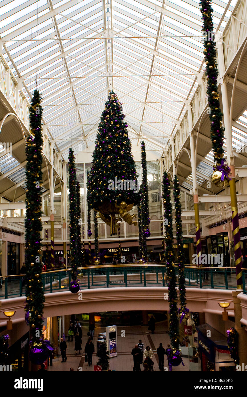 Suspended tree hi-res stock photography and images - Alamy