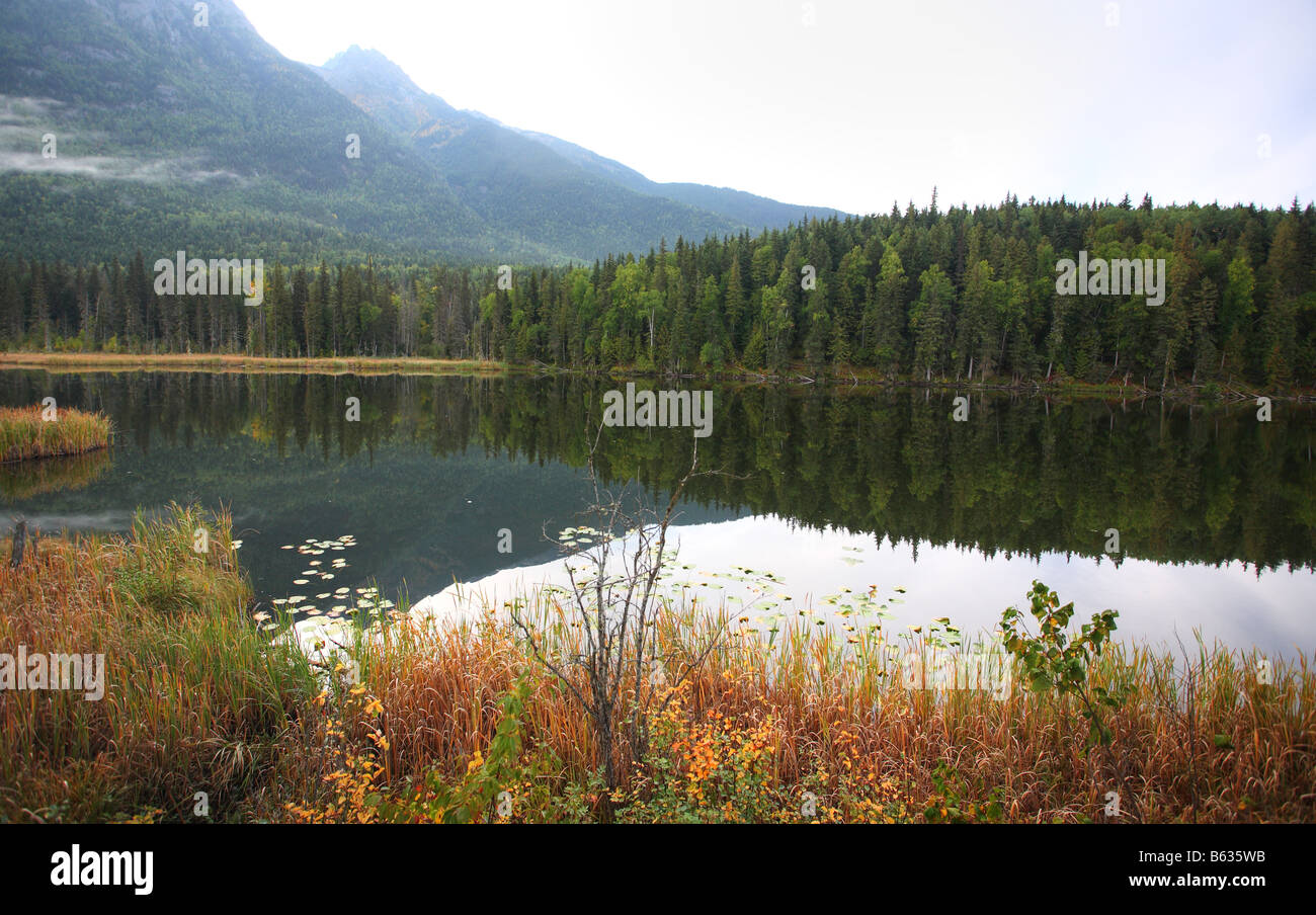 Reflections on a mountain lake in British Columbia Stock Photo - Alamy