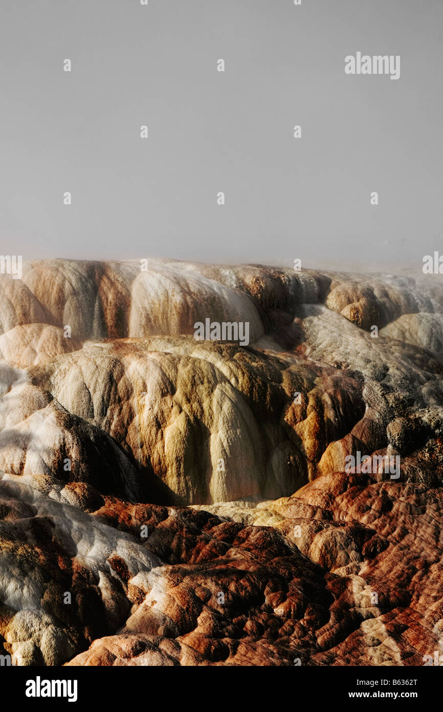 Calcium carbonate formation at a hot spring, Mammoth Hot Springs ...