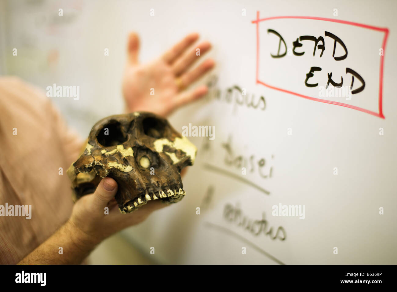Man evolution theory hi-res stock photography and images - Alamy