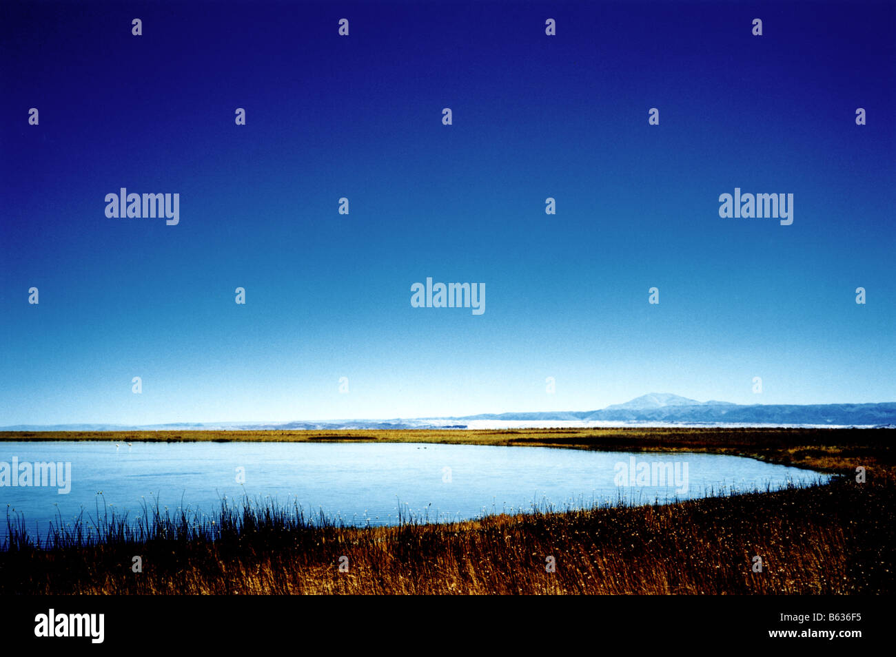 Panoramic view of a river, Atacama Desert, Chile Stock Photo - Alamy