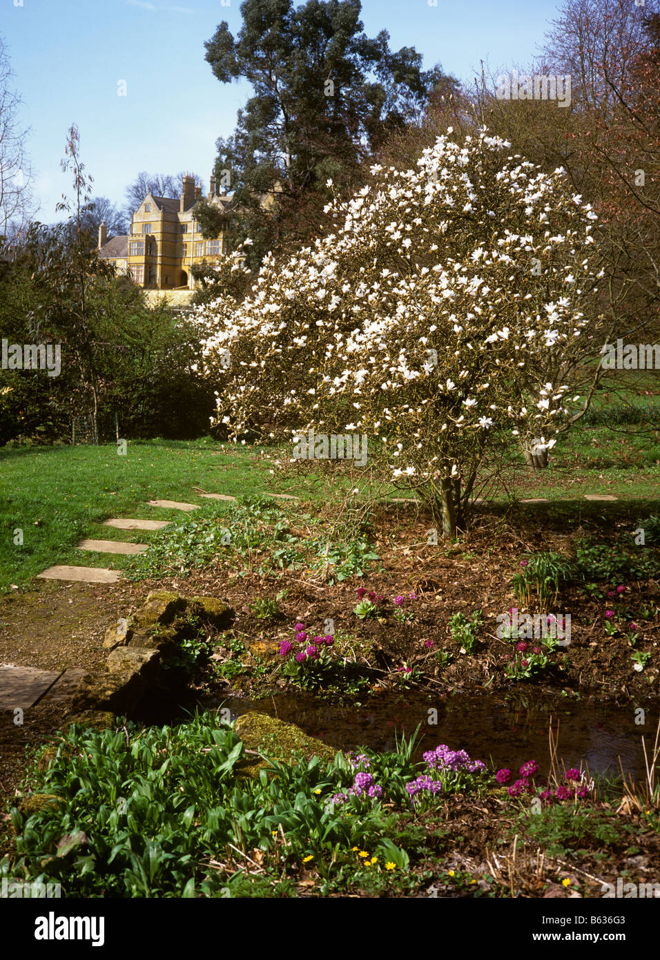 UK England Gloucestershire Batsford Arboreum springtime Stock Photo - Alamy