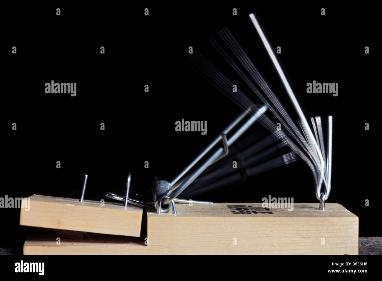 Mouse trap going off Stock Photo - Alamy