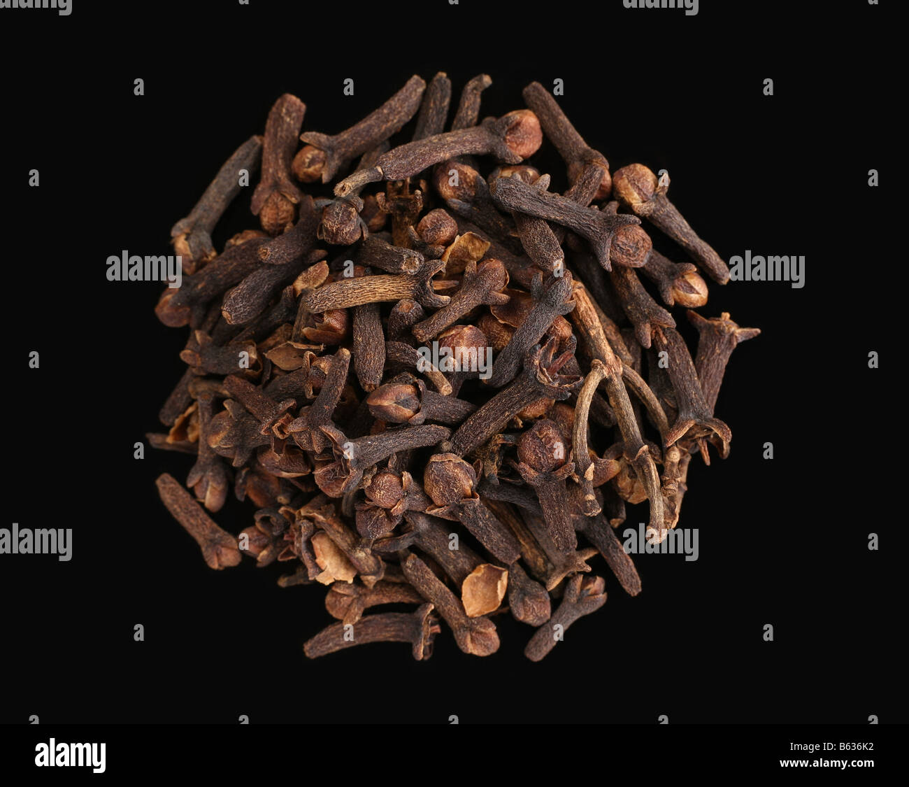 Dry spice carnation detail view on black Stock Photo - Alamy