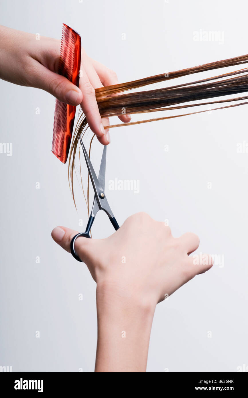 Hairdresser cutting the hair of a person Stock Photo - Alamy