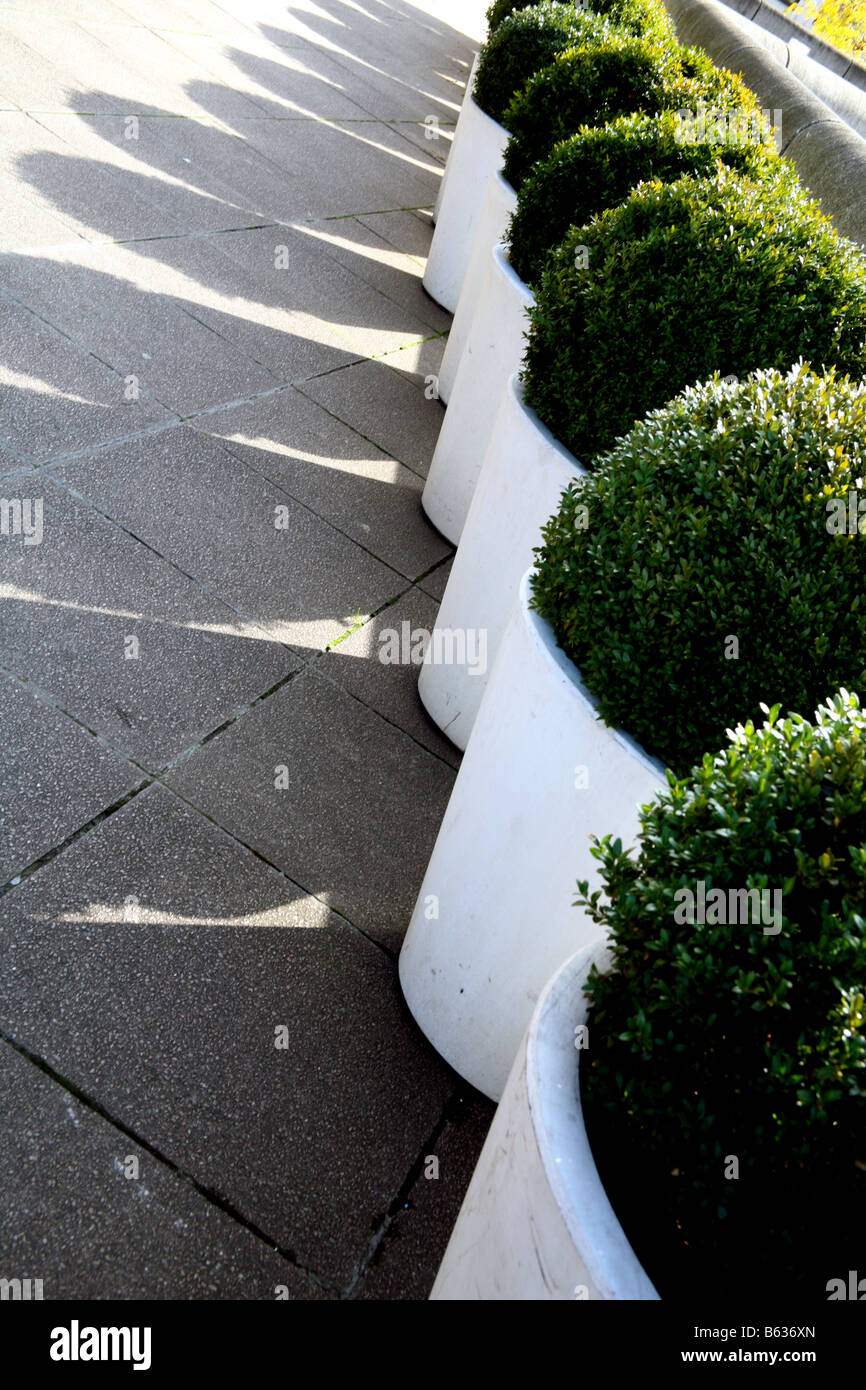 Line of shrubs hi-res stock photography and images - Alamy