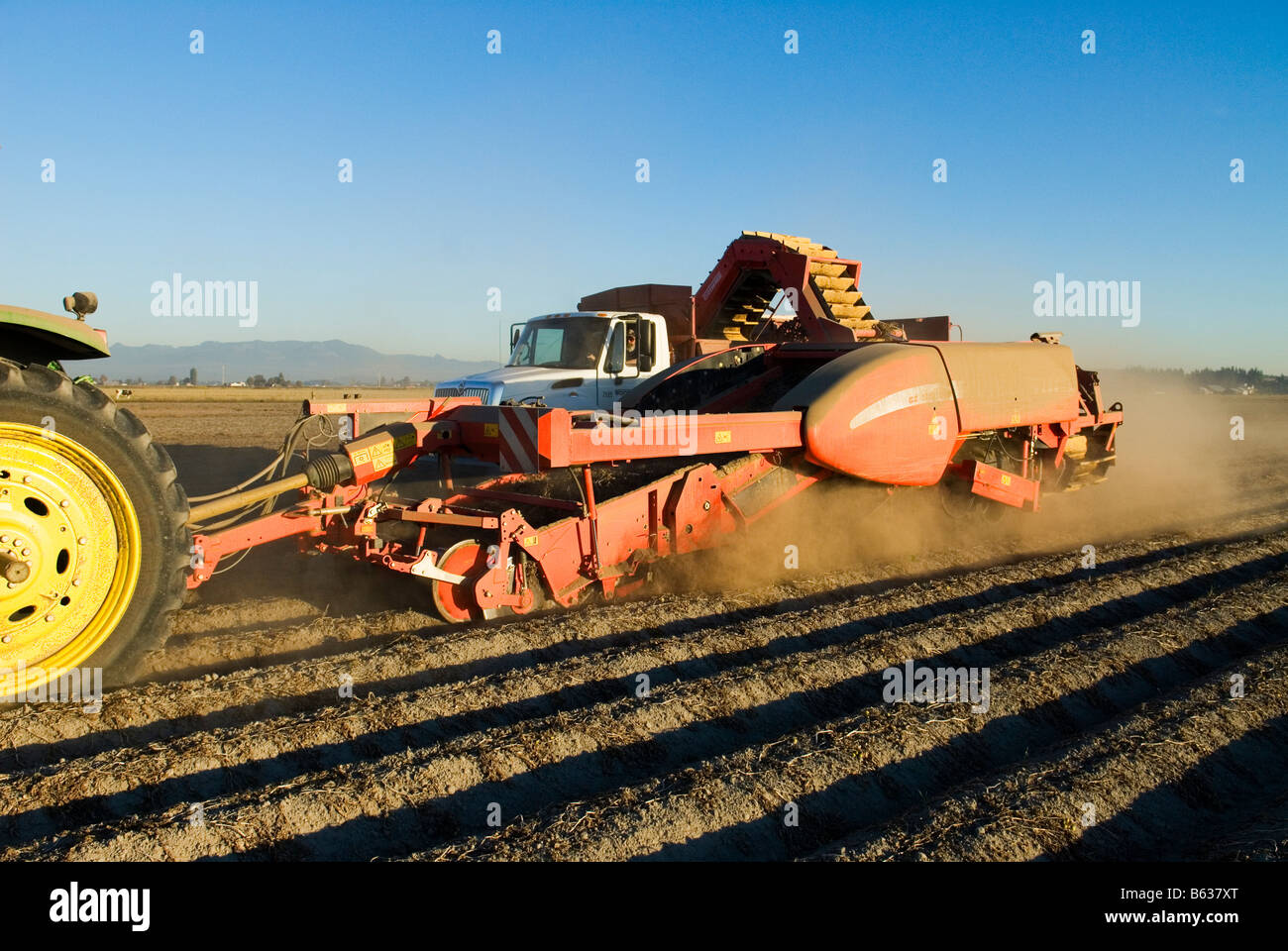 Agriculture potato harvesting machine harvester High Resolution Stock ...