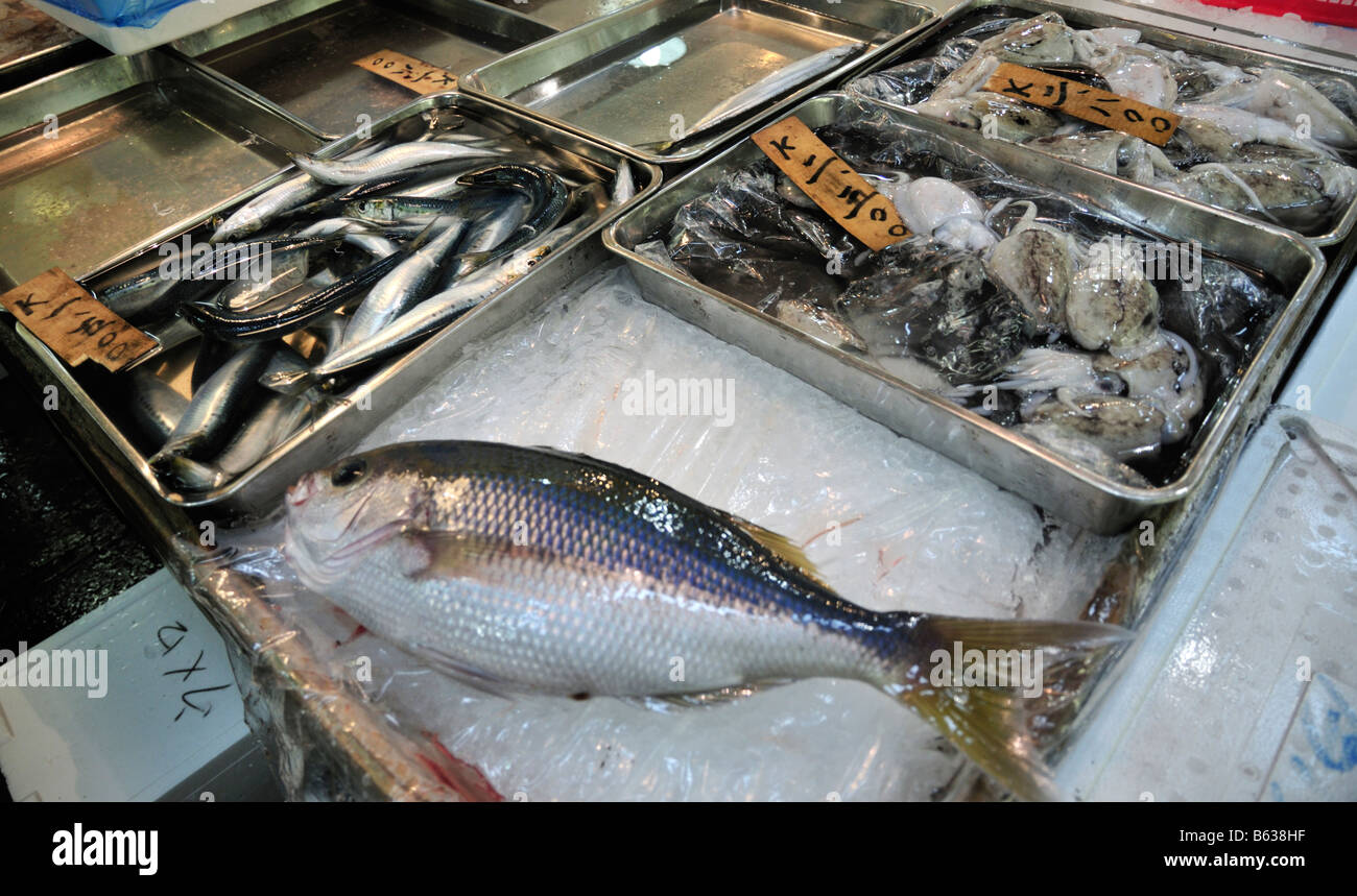 Fresh fish on sale at Tsukiji fish market, Tokyo, Japan Stock Photo - Alamy