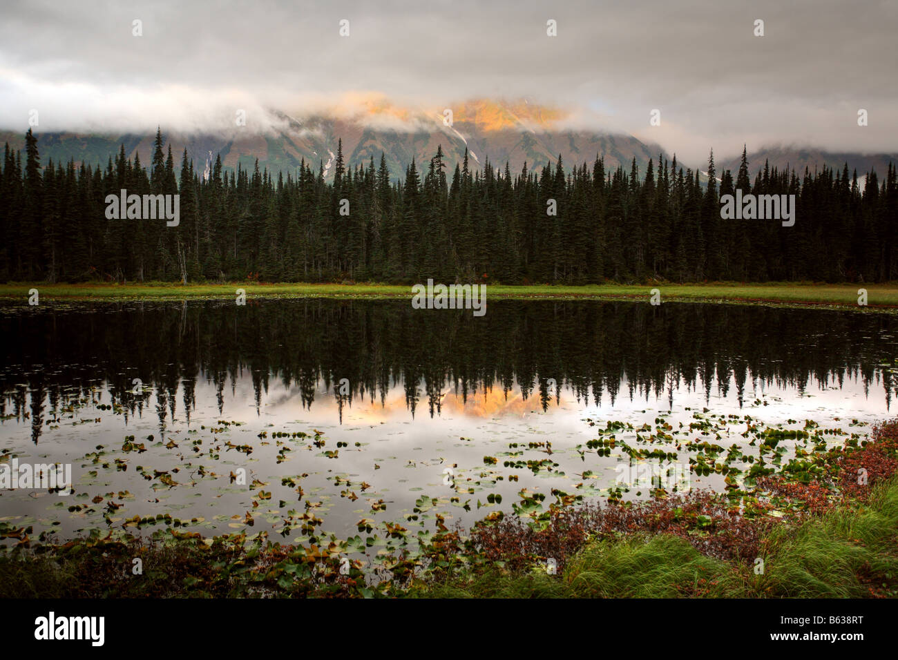 Reflections on a British Columbia lake Stock Photo - Alamy