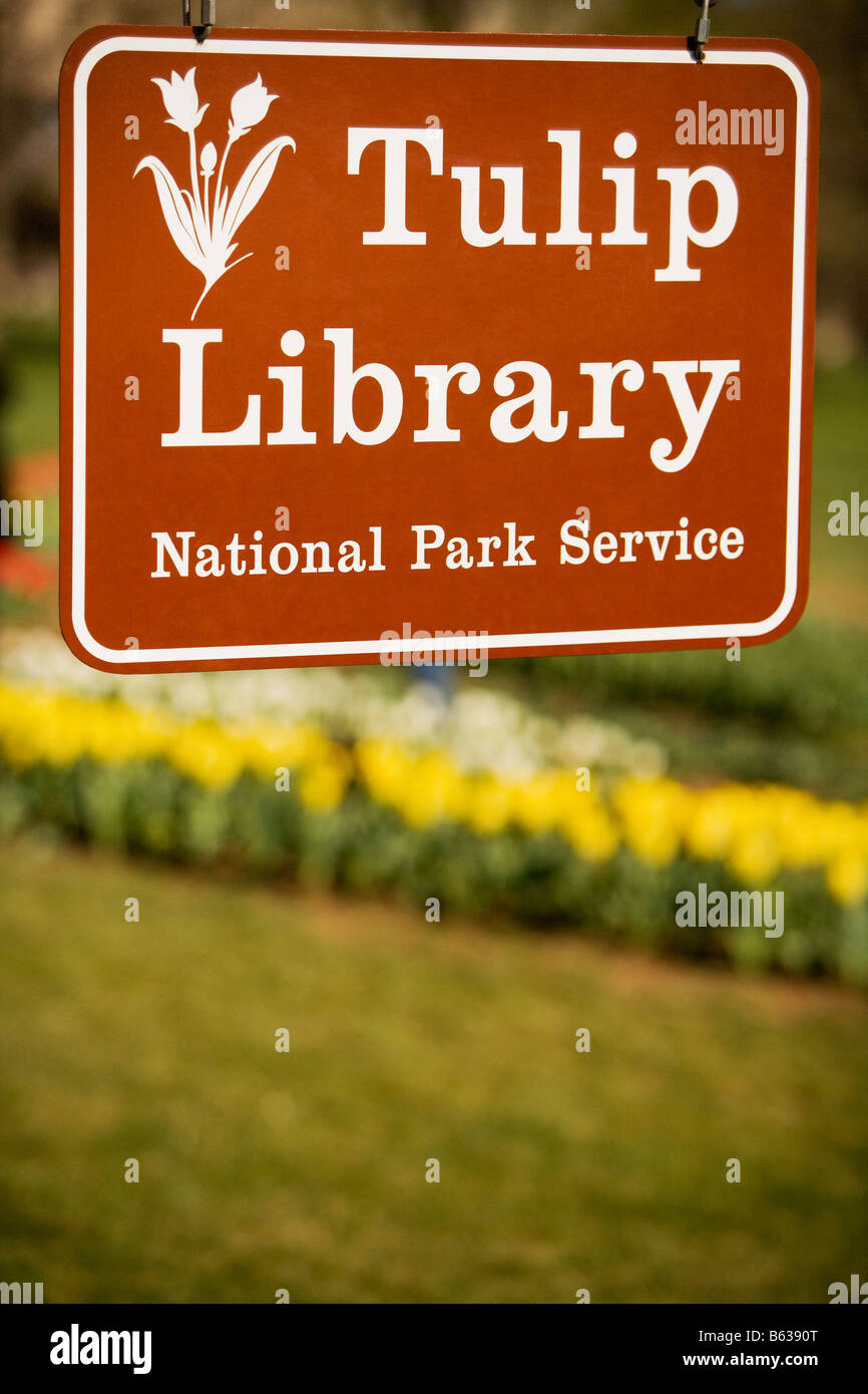 Tulip library hi-res stock photography and images - Alamy