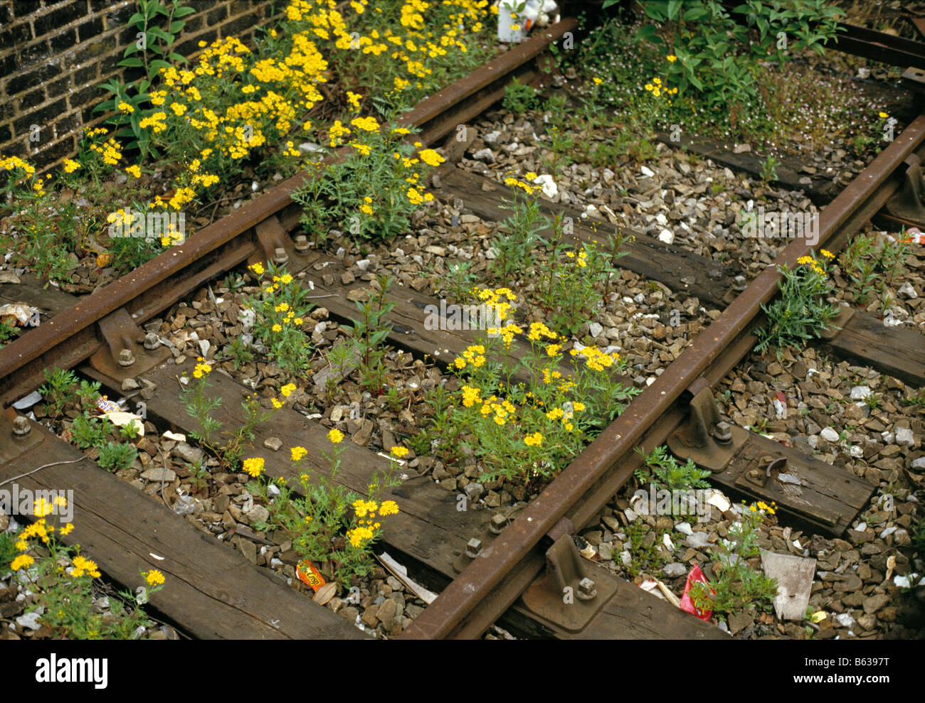 Disused railway track, UK Stock Photo - Alamy