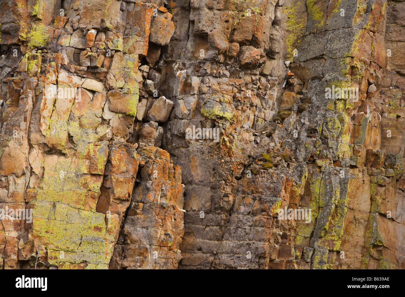 Close-up of a rugged cliff Stock Photo - Alamy