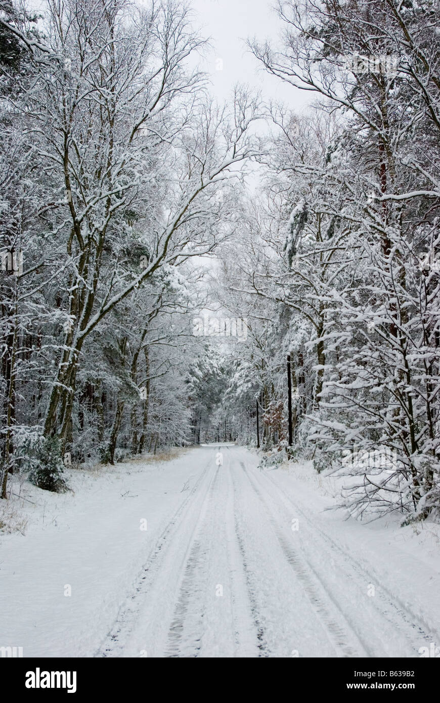 Landscape of roads hi-res stock photography and images - Alamy