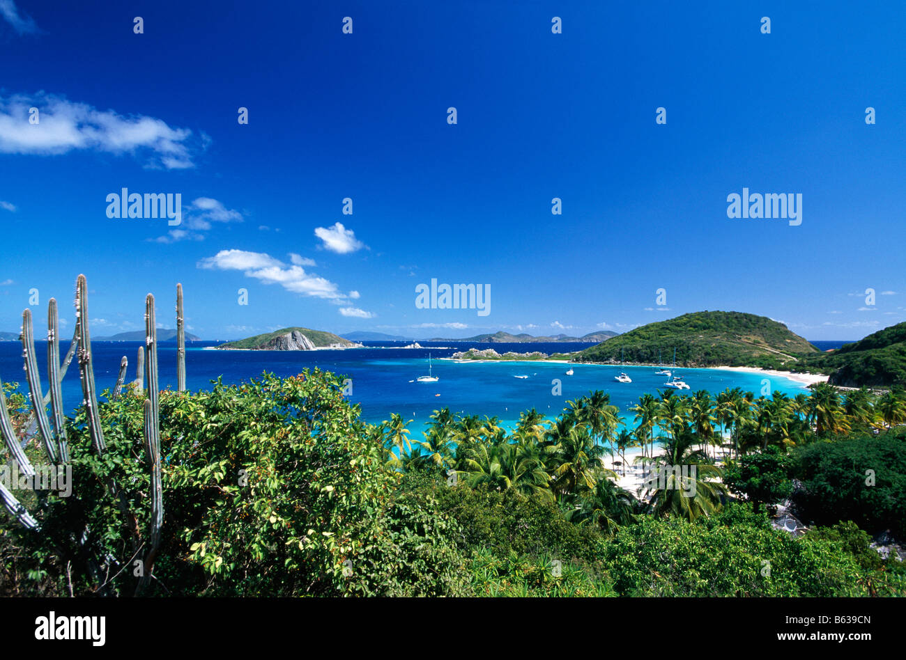 Beach on Peter Island British Virgin Islands Caribbean Stock Photo - Alamy