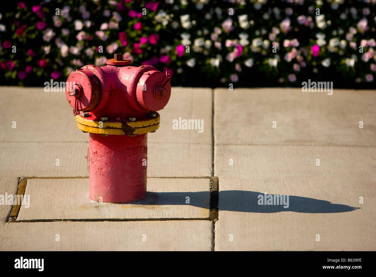Fire hydrant in a garden, Boys Town, Chicago, Illinois, USA Stock Photo ...