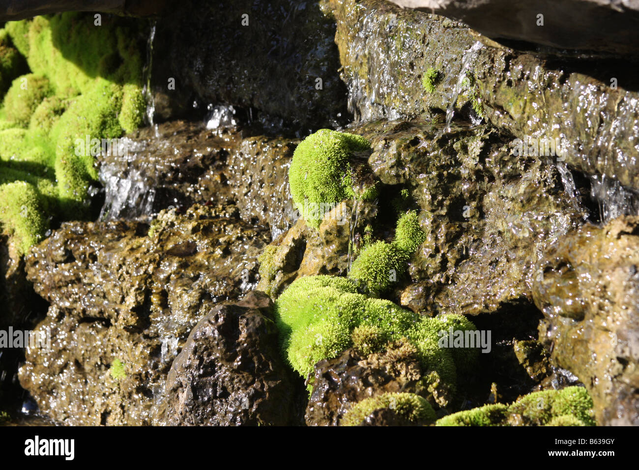 Moss on rocks hi-res stock photography and images - Alamy