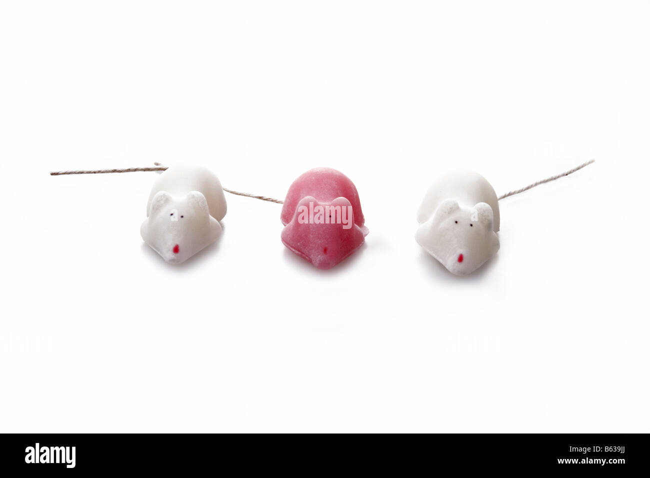 Candy sugar mice on white background Stock Photo - Alamy