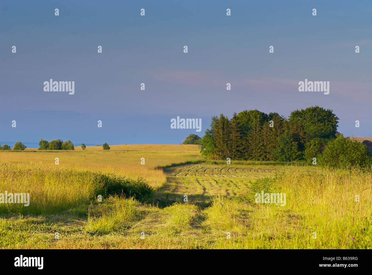 Crop in fields Stock Photo - Alamy