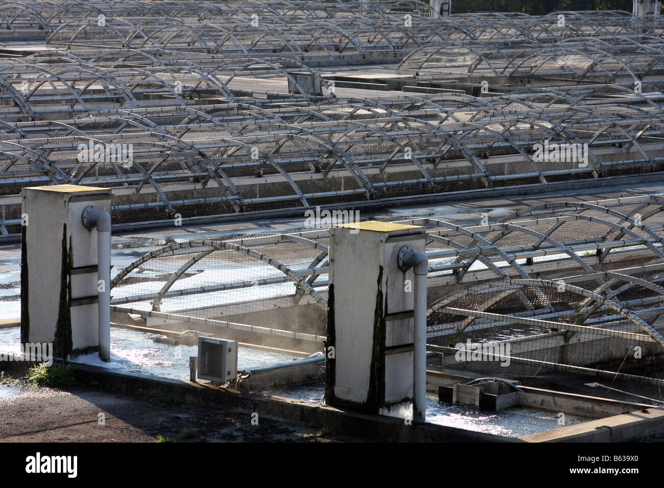 The Shepherd of the Hills Fish Hatchery that raises trout in these ...