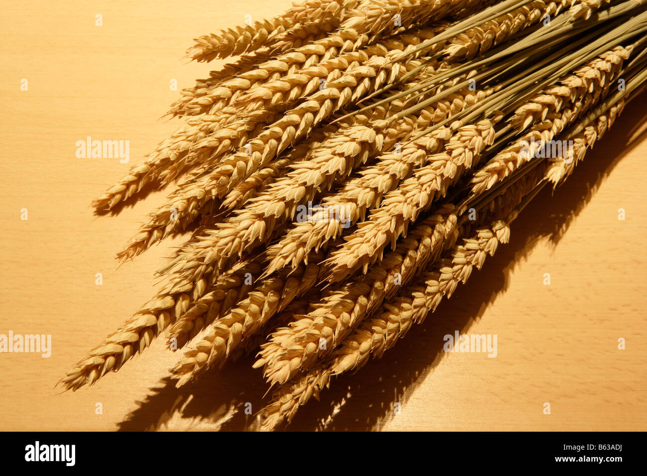 Gathered wheat hi-res stock photography and images - Alamy