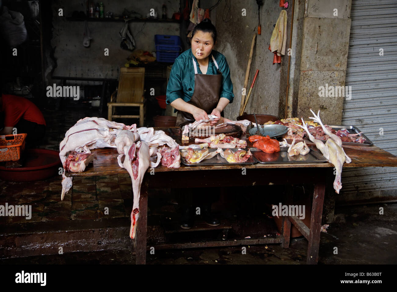 Slaughtered ducks hi-res stock photography and images - Alamy