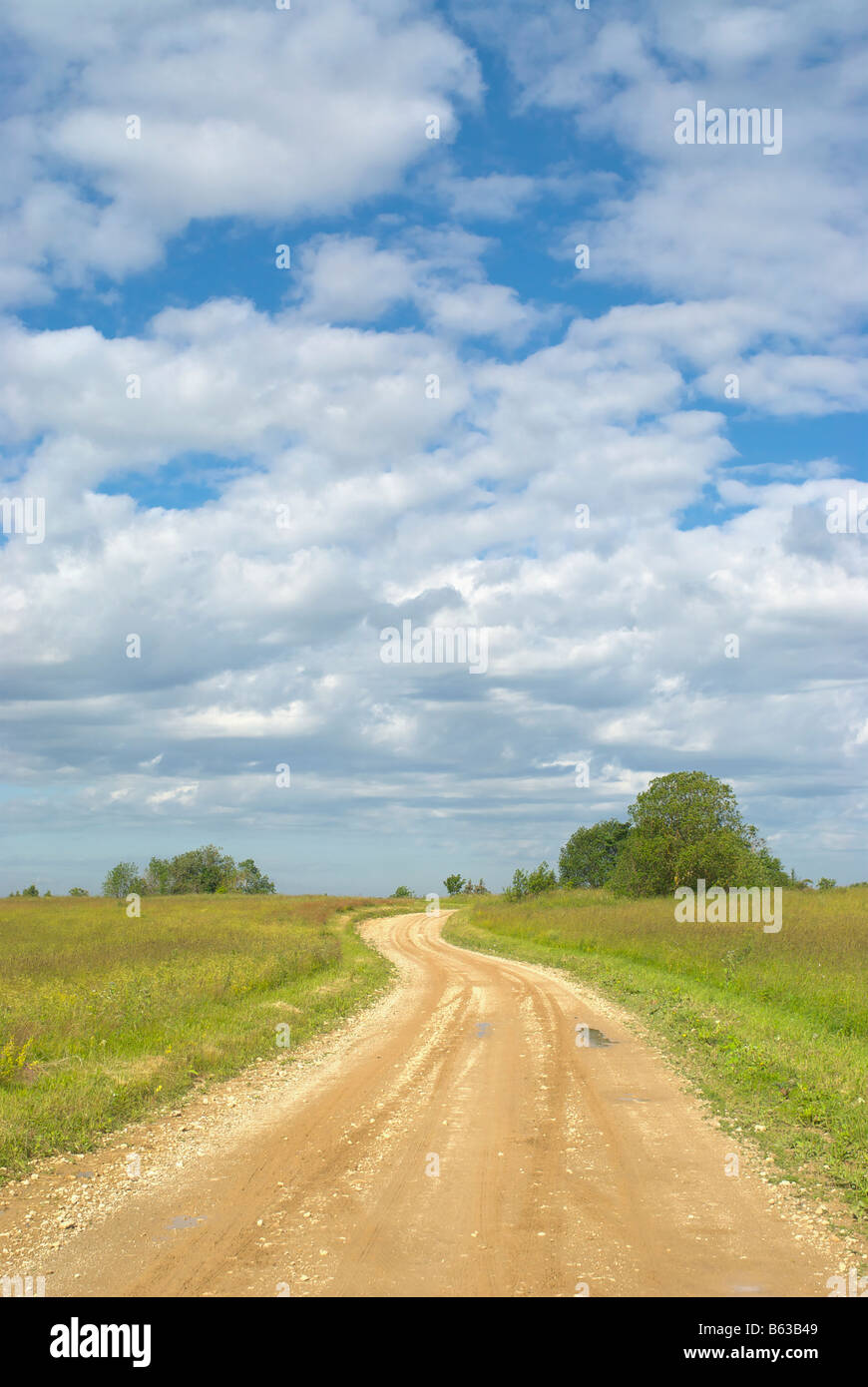 Dirt Road Background