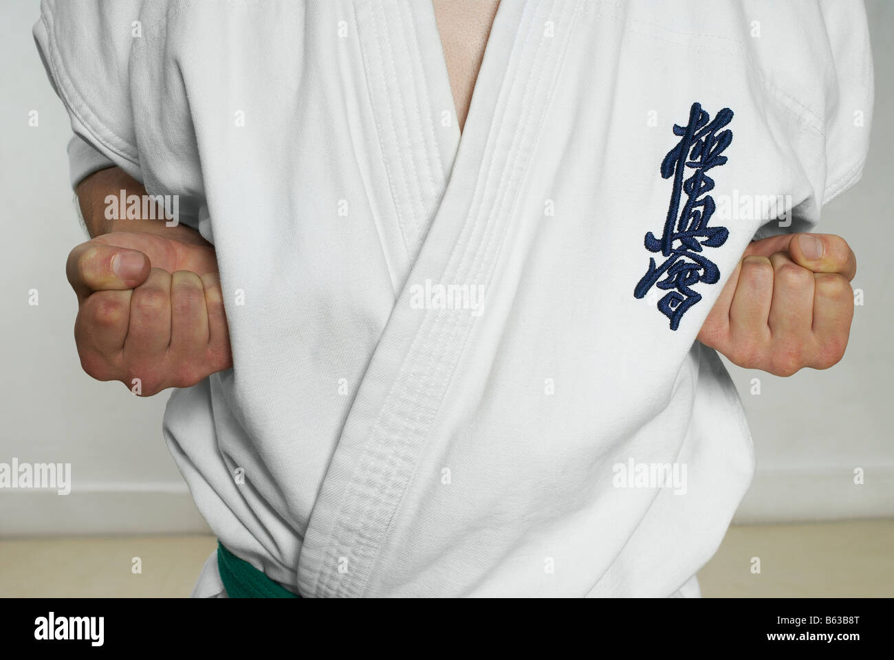 Mid section view of a man practicing karate Stock Photo - Alamy