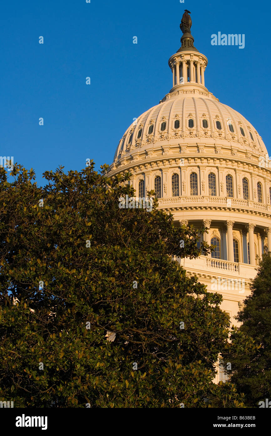 Washington dc state capitol hi-res stock photography and images - Alamy