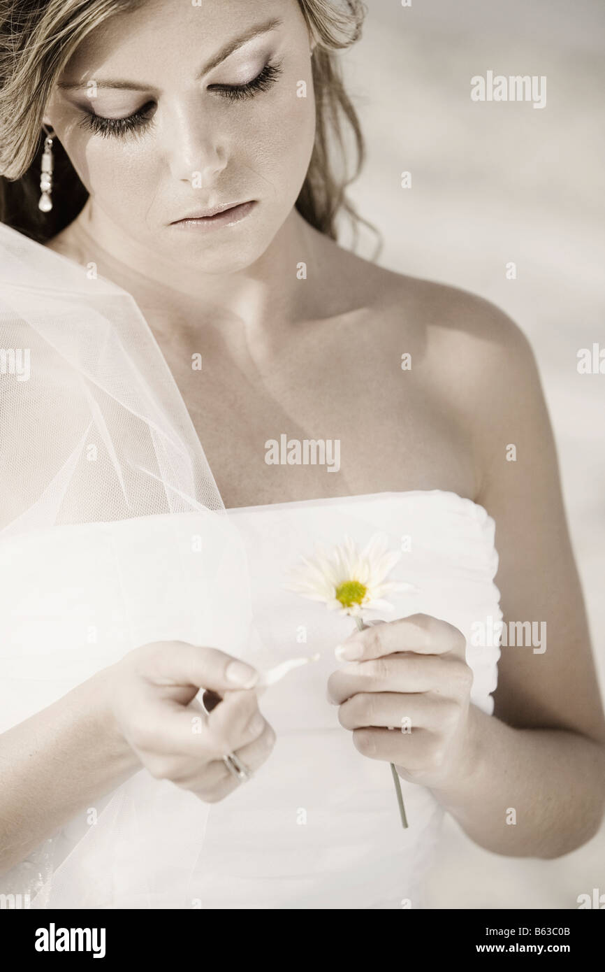 Plucking flower petal hi-res stock photography and images - Alamy