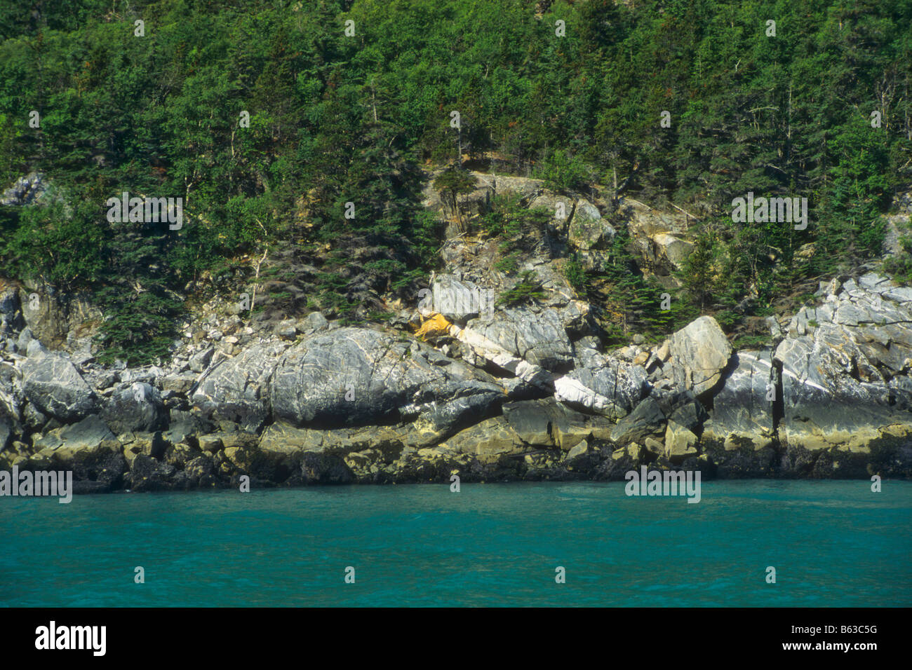 Tide marks on rocky shore, Alaska Stock Photo - Alamy