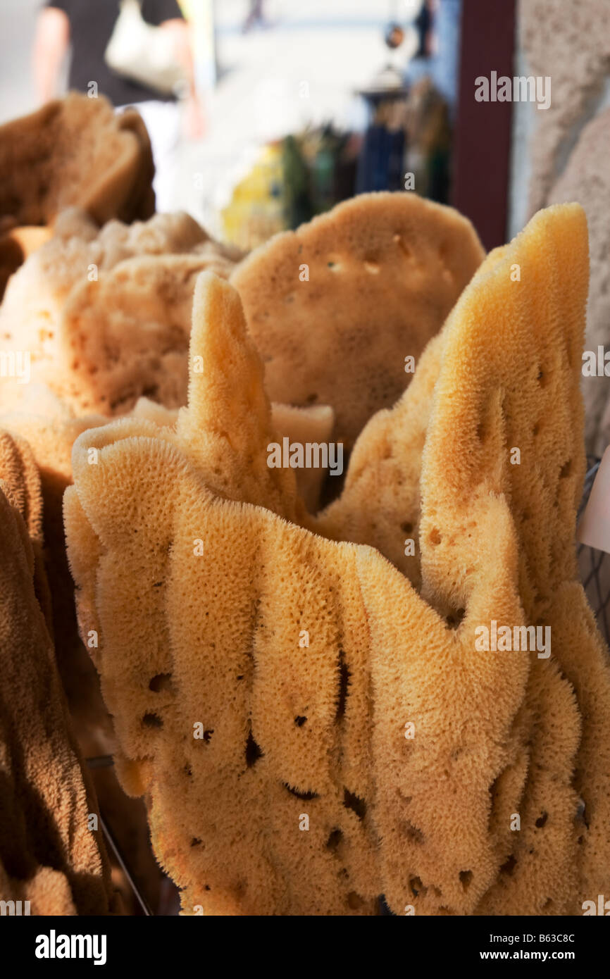 Sponges on display hi-res stock photography and images - Alamy