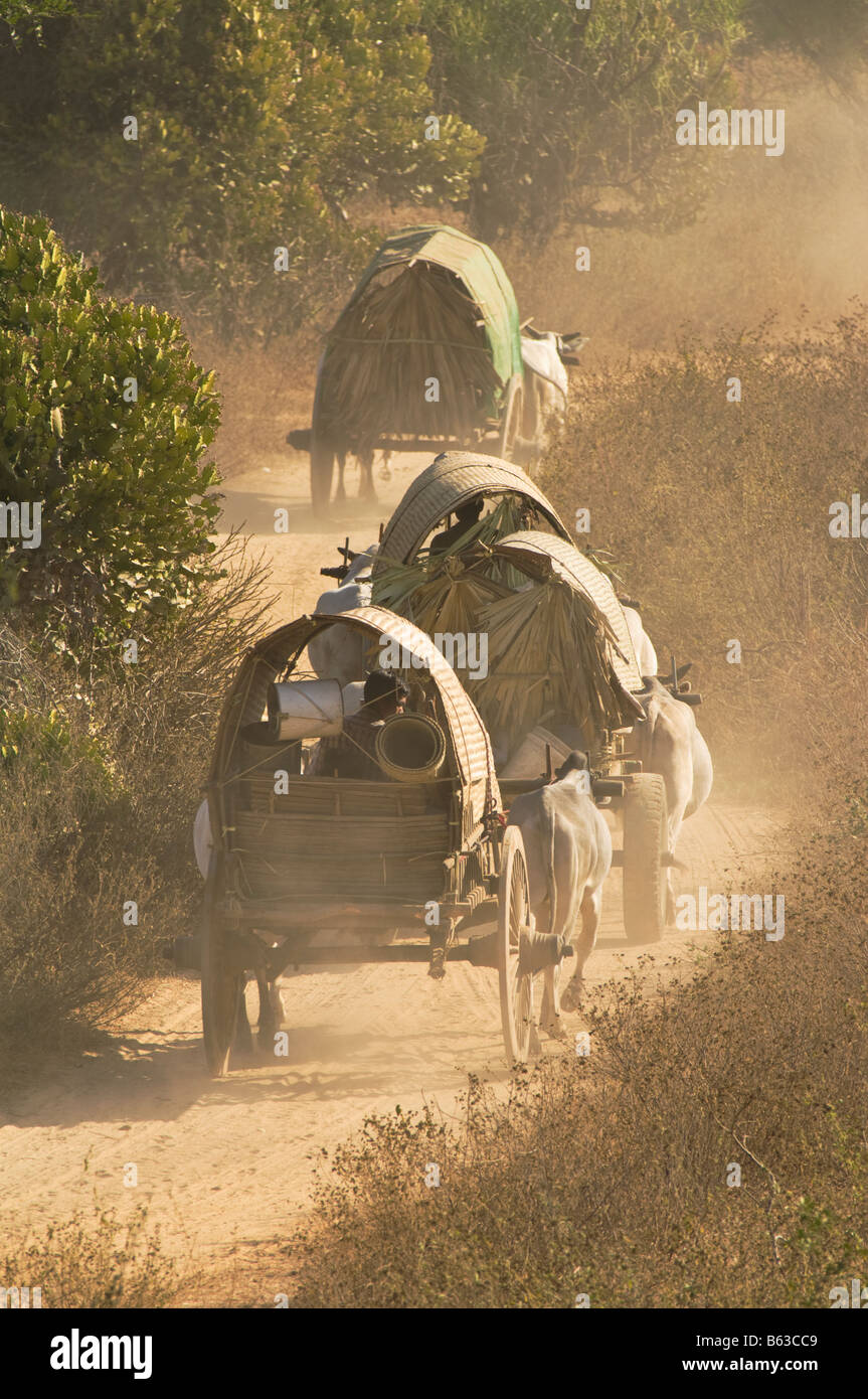 Ox carriage on a dustry road Bagan Pagan Myanmar Burma Stock Photo - Alamy