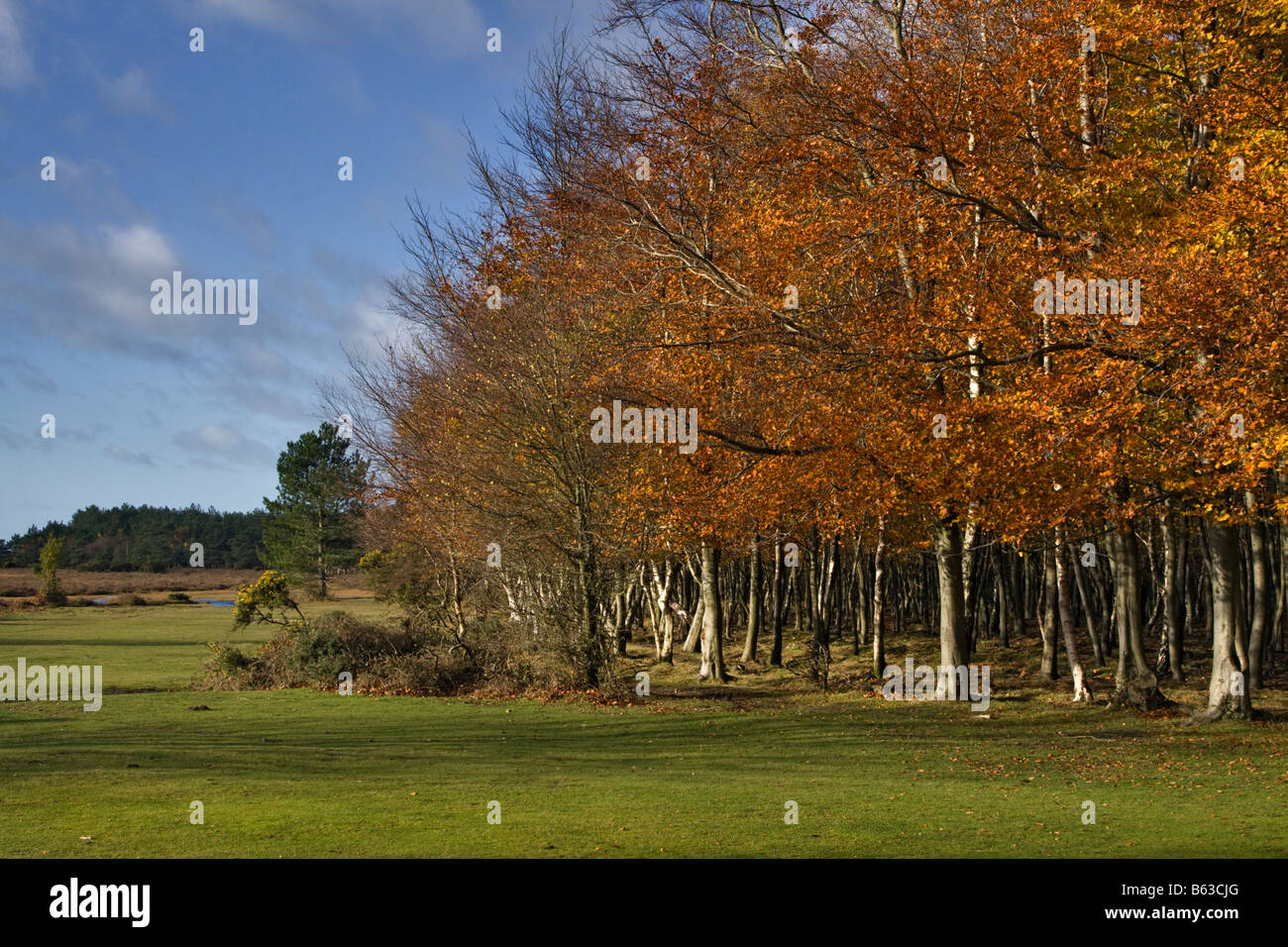 New england fall colours hi-res stock photography and images - Alamy