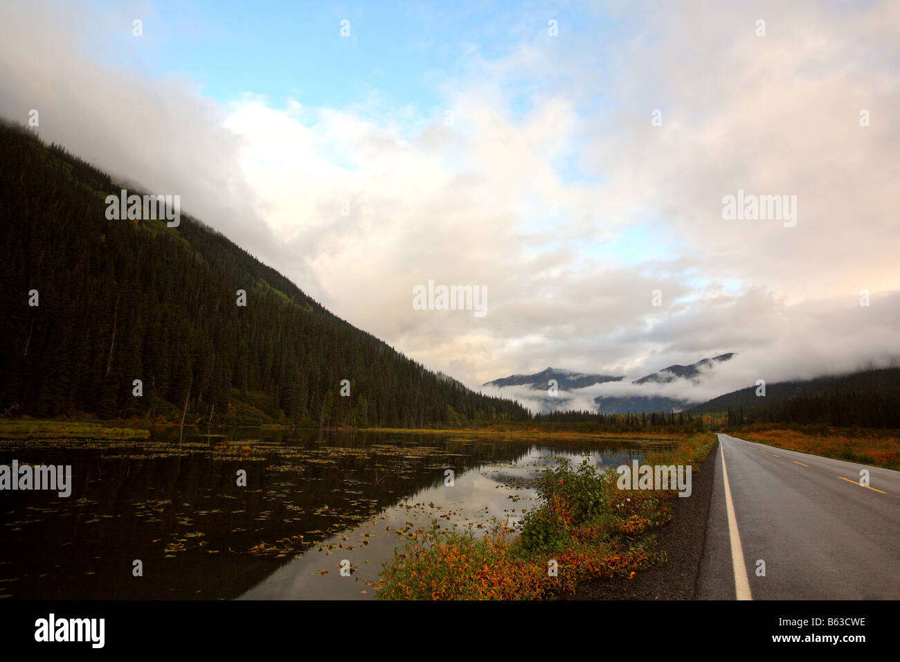Roadside pond in British Columbia Stock Photo - Alamy