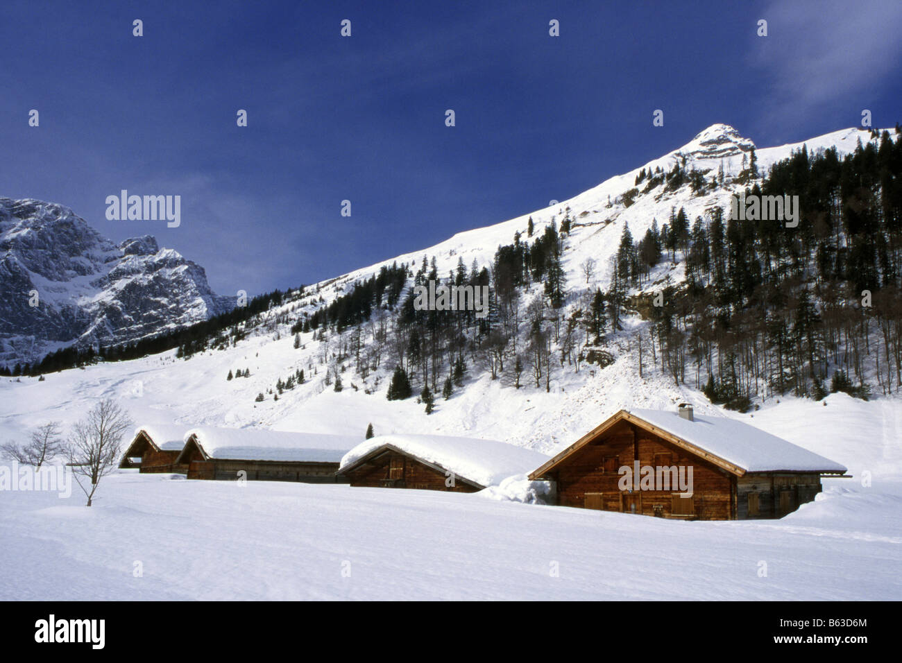 High meadows (Eng-Alm) in winter Stock Photo - Alamy
