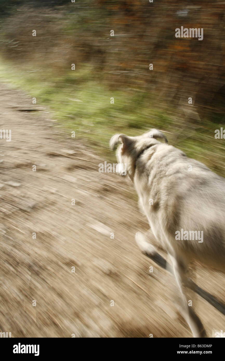 Fast walking lane hi-res stock photography and images - Alamy