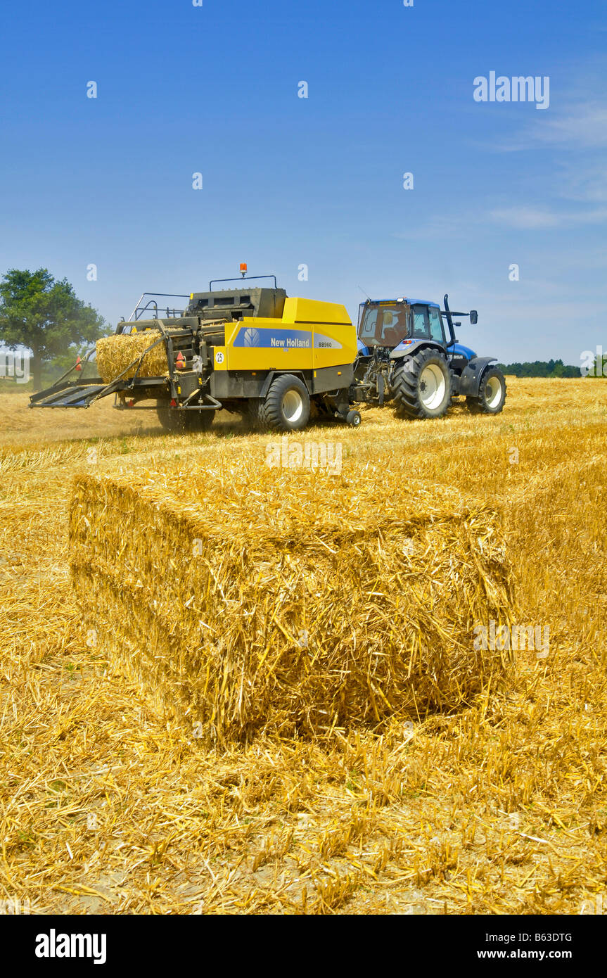 Crop straw , France Stock Photo - Alamy