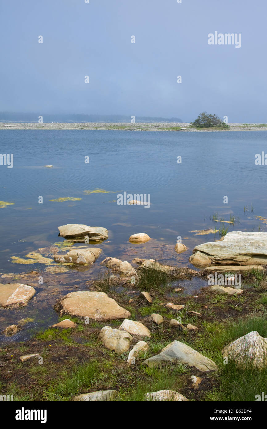 Taylor head provincial park hi-res stock photography and images - Alamy